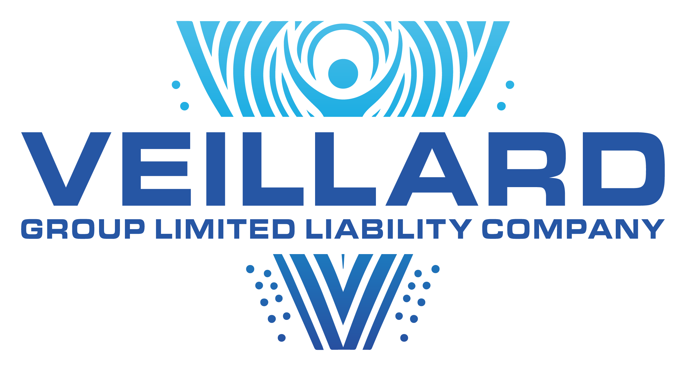 Veillard Group LLC | SDVOSB Government Consulting & IT Services